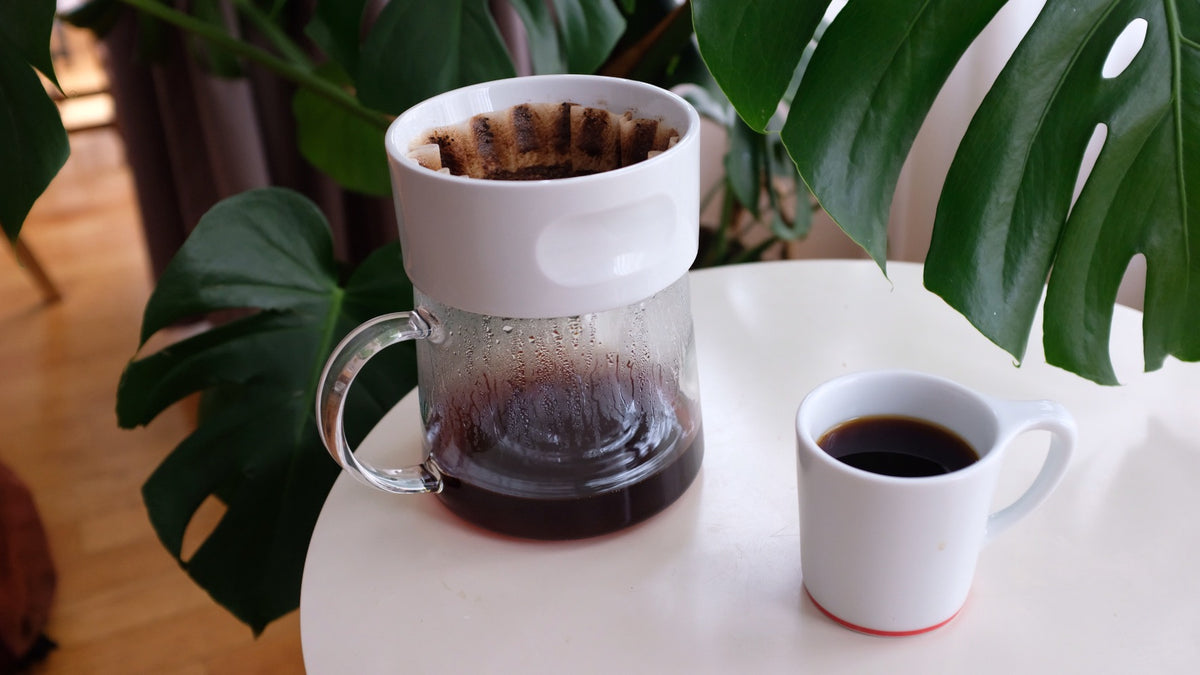 What are the SCA's Ideal Cup Standards? – Etkin Design